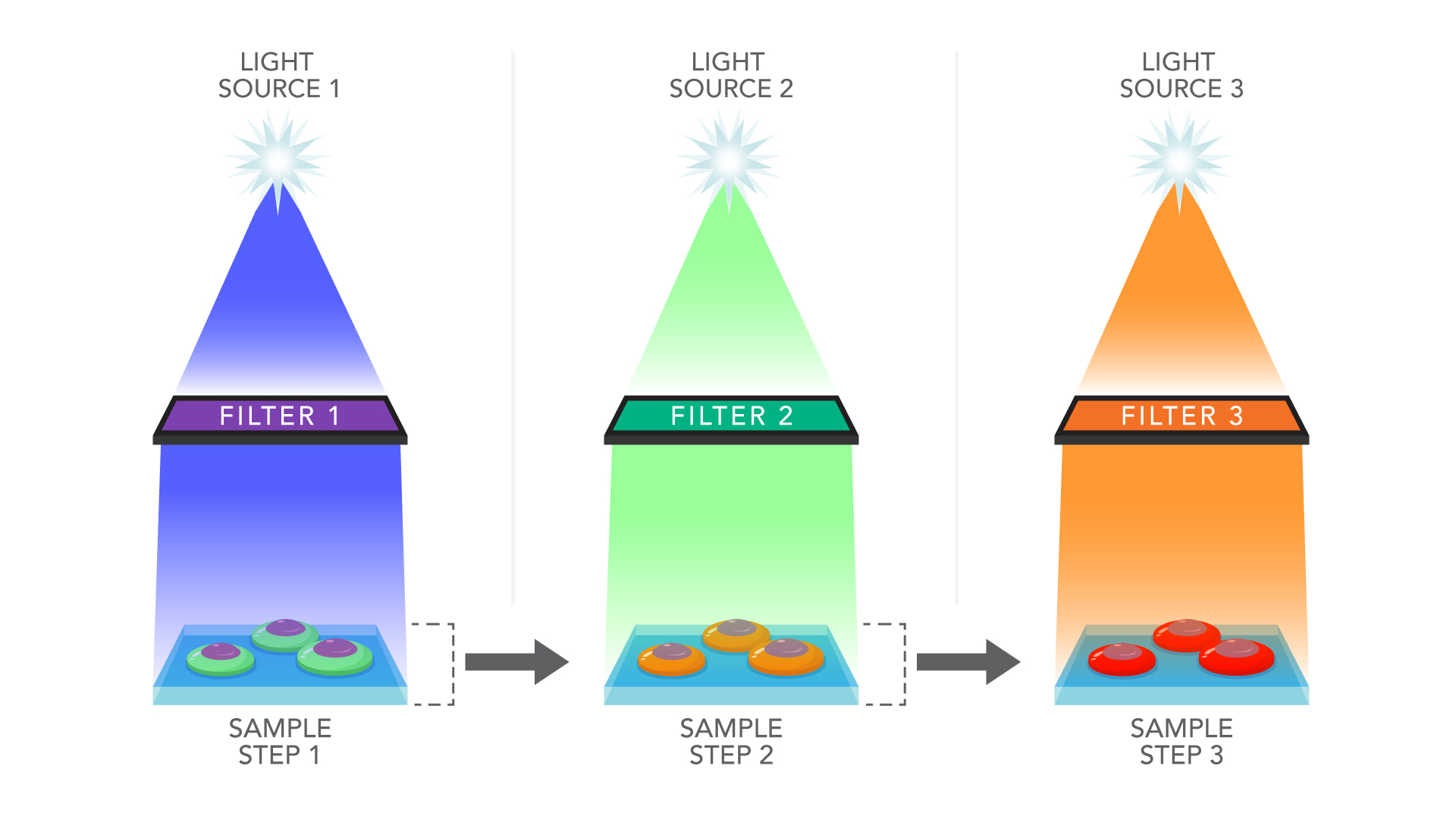 Optimizing Illumination in Fluorescence and Raman Systems with Semrock Optimizing Illumination in Fluorescence and Raman Systems with Semrock